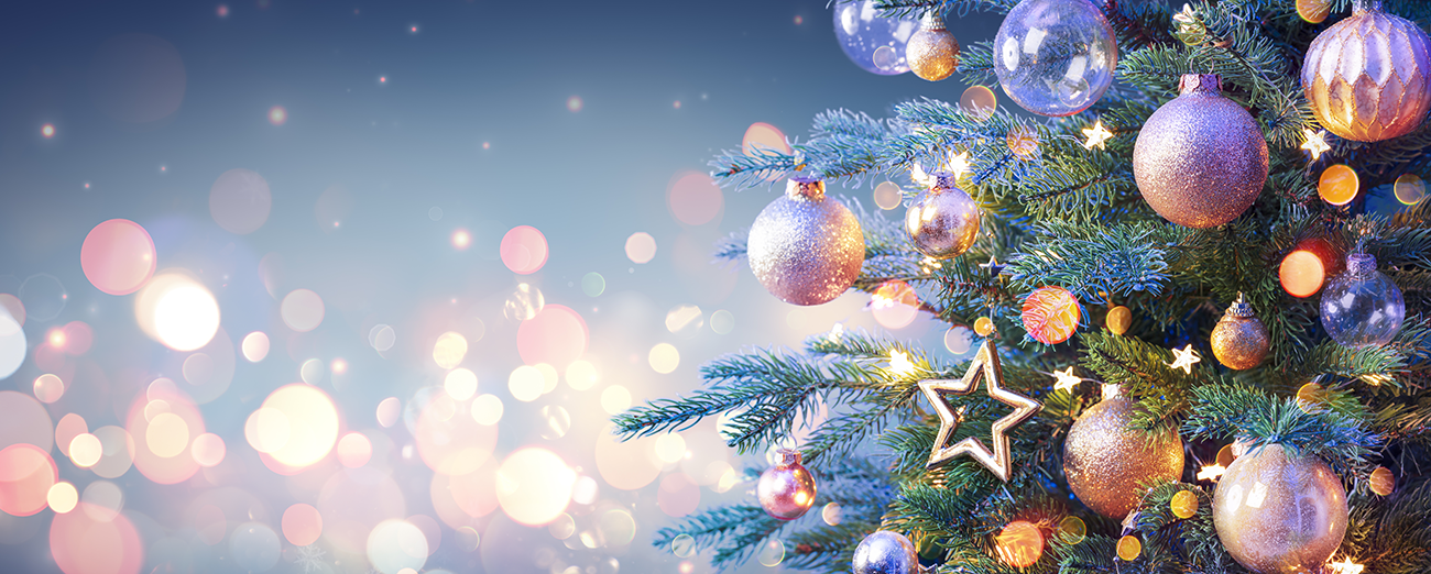 TTNC's year in brief 2020